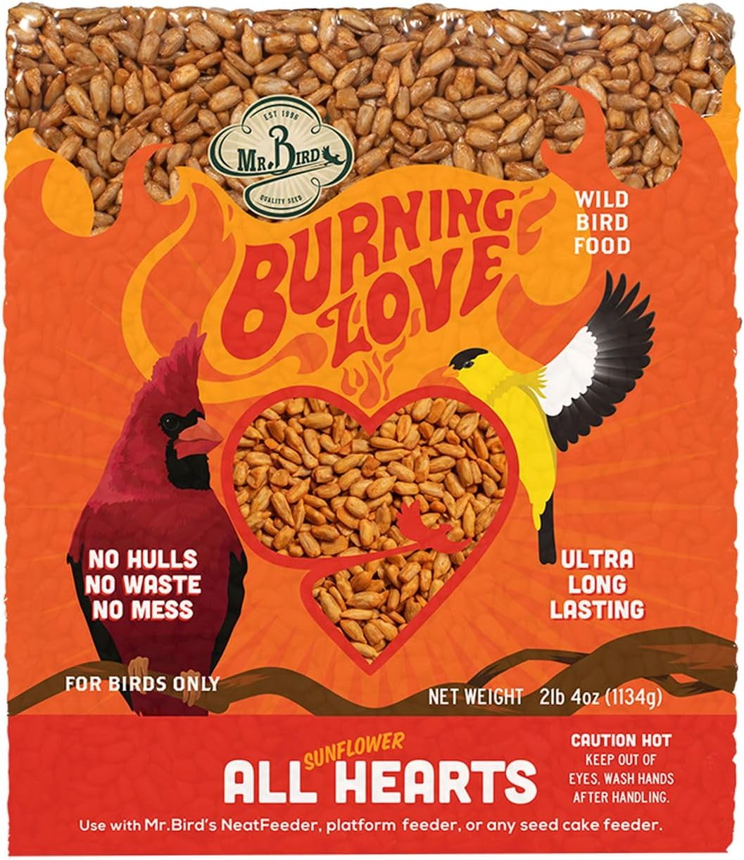 Amazon.com: Mr. Bird Burning Love 8 oz Bird Seed Cake : Patio, Lawn ...