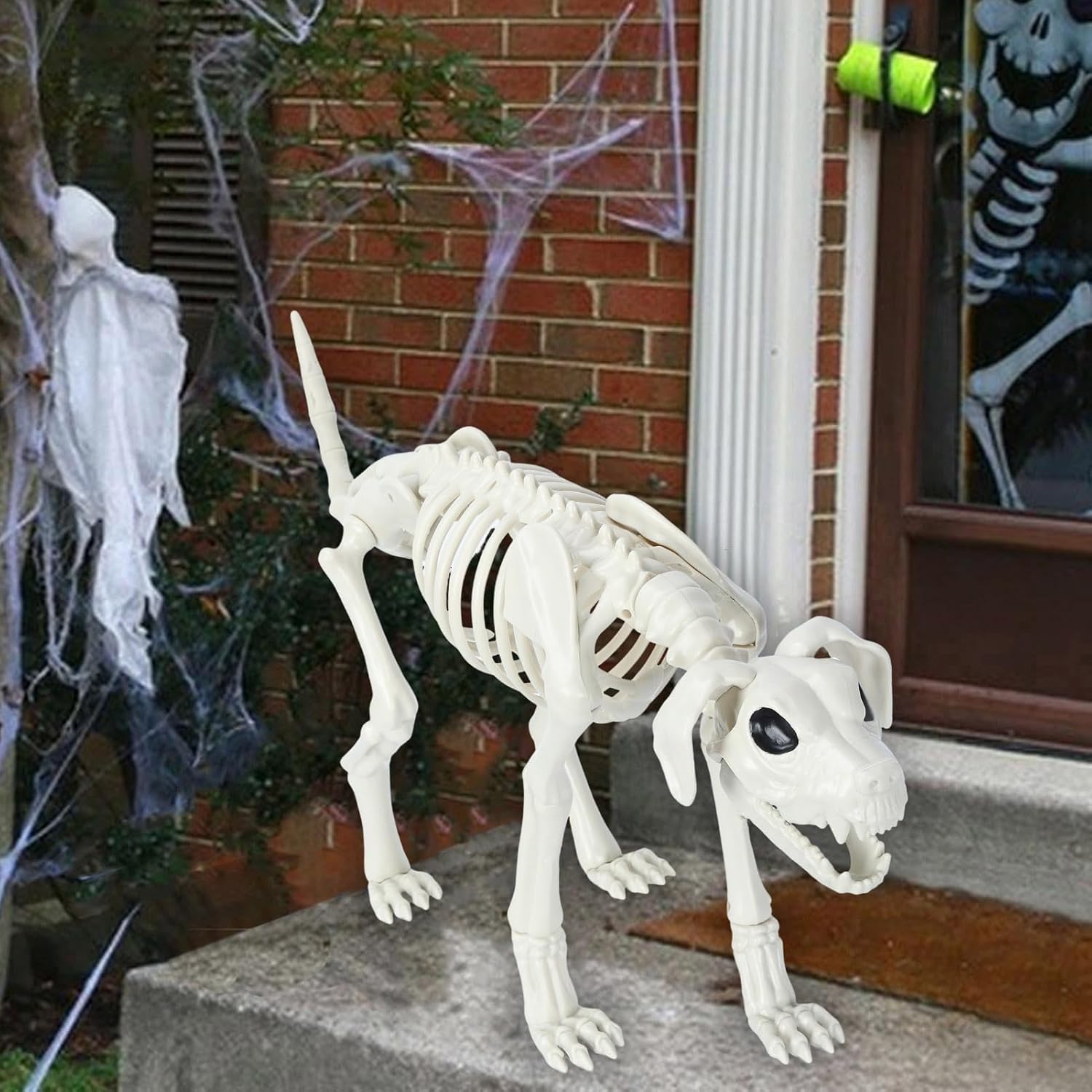 Amazon.com: Halloween Decorations Skeleton Dog, Posable Skeleton Dog ...