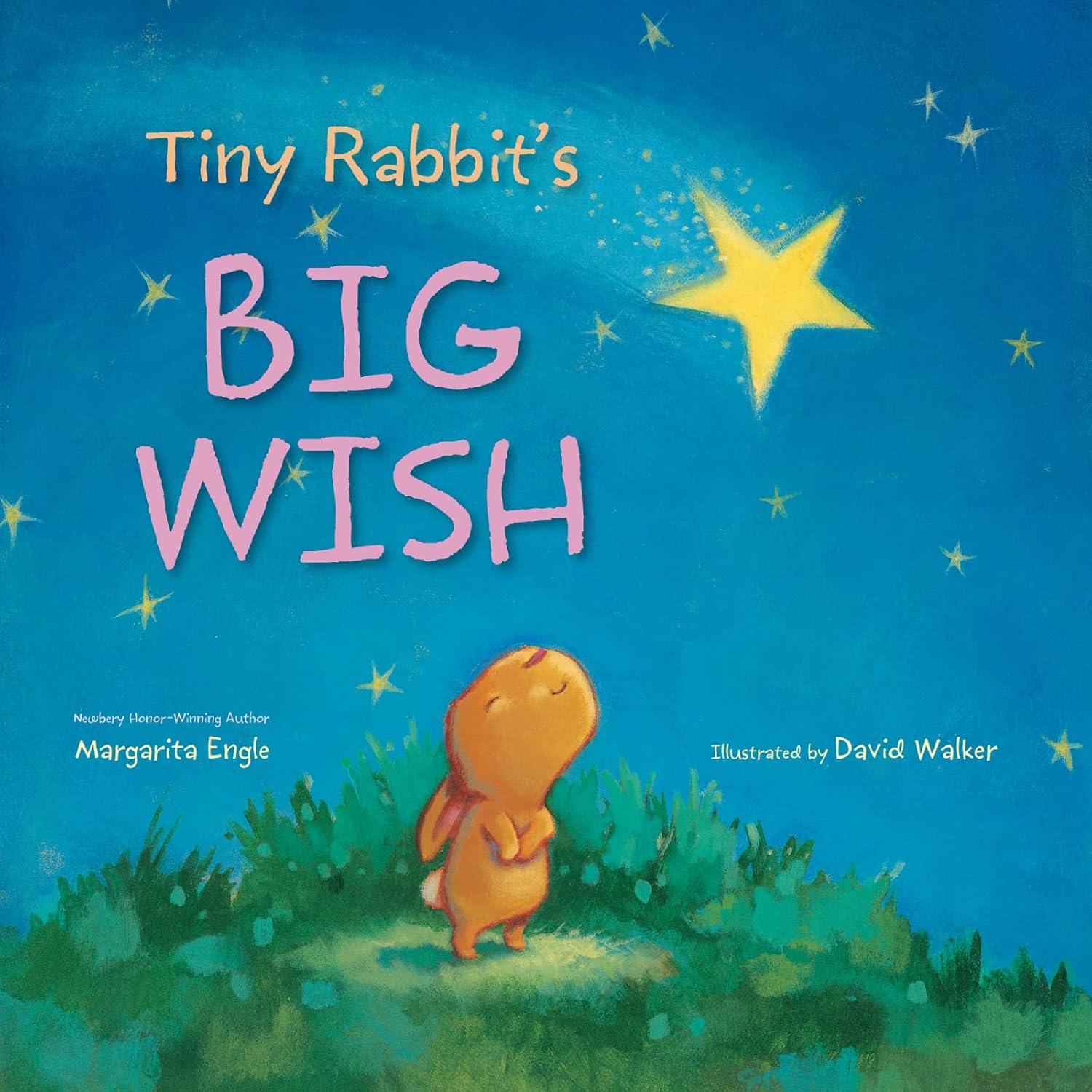 Amazon.com: Tiny Rabbit's Big Wish: An Easter And Springtime Book For ...