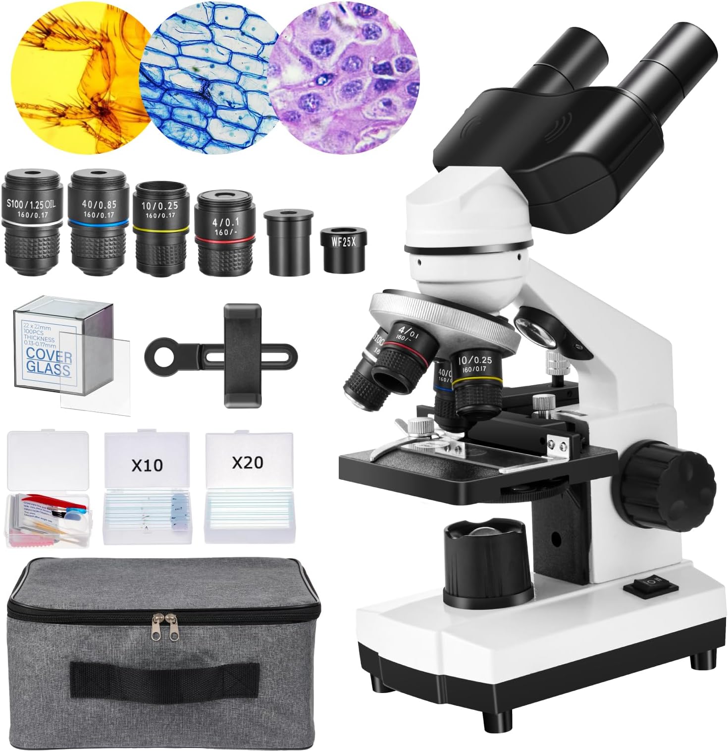 Amazon.com: Binocular Compound Microscope, 40X-2500X Magnification ...
