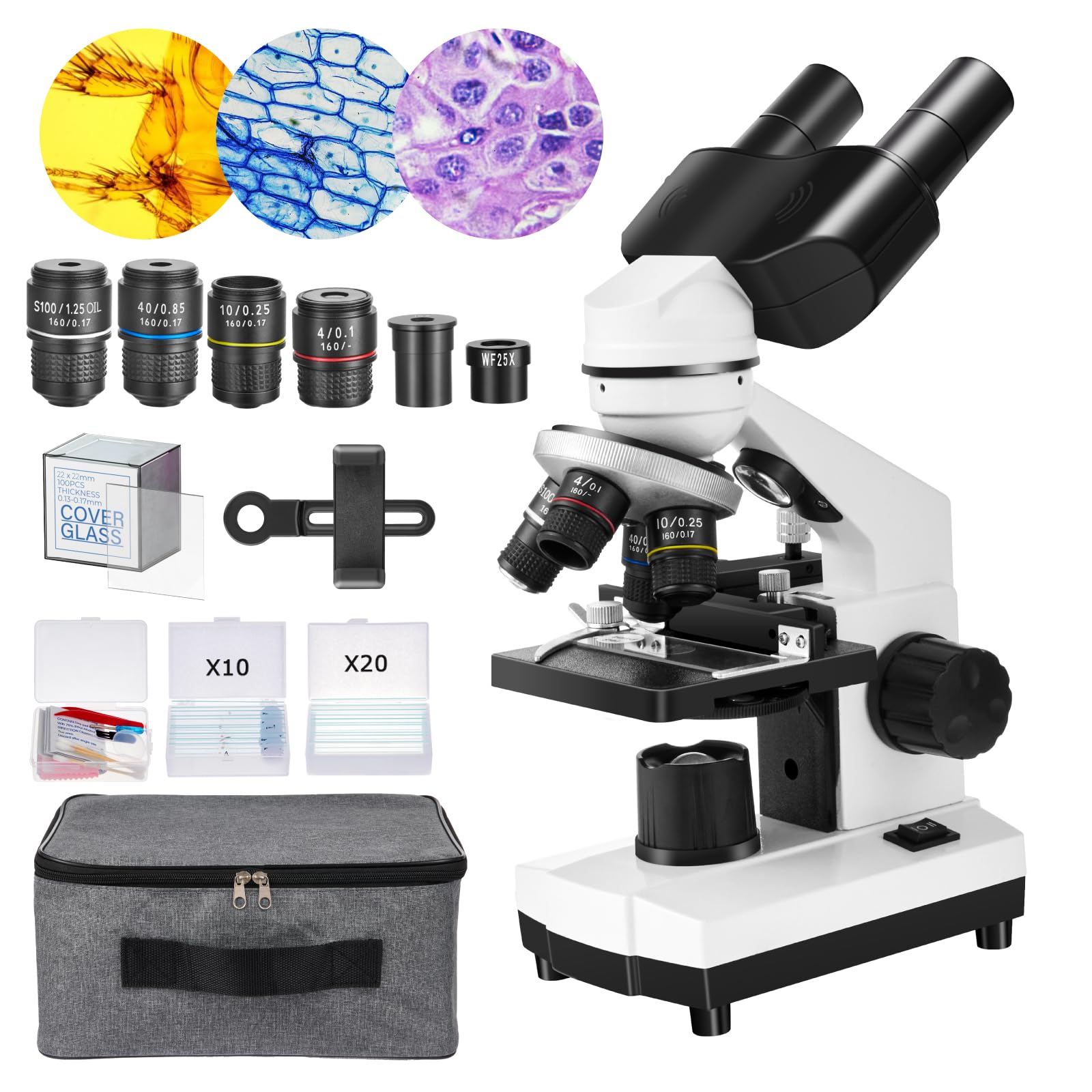 Amazon.com: Binocular Compound Microscope, 40X-2500X Magnification ...