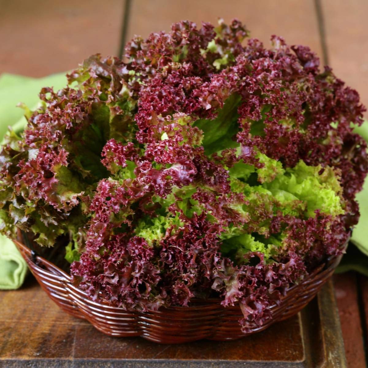 Lettuce lollo rosso Red vegetable Seeds : Amazon.in: Garden & Outdoors