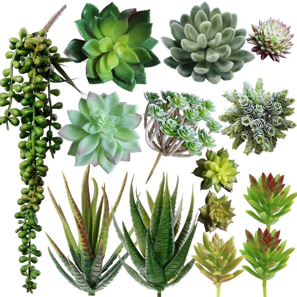 Amazon.com: Supla 14 Pcs Unpotted Artificial Succulents Plants Bulk ...