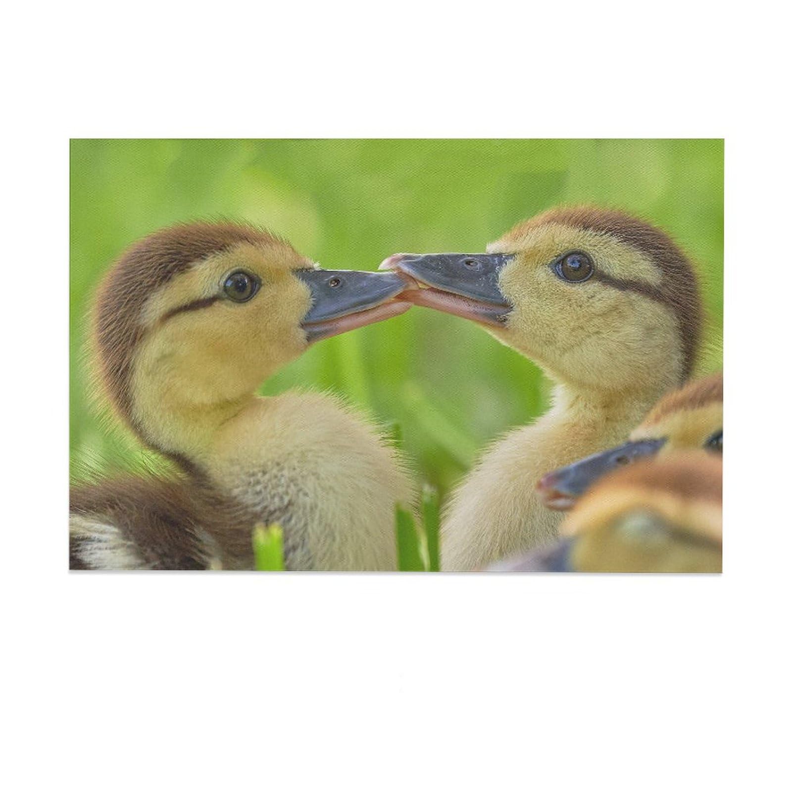 Two Ducks Kissing