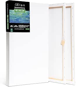 Elan Stretched Canvases 40x80 CM, 6-Pack Art Canvases for Painting 280 ...