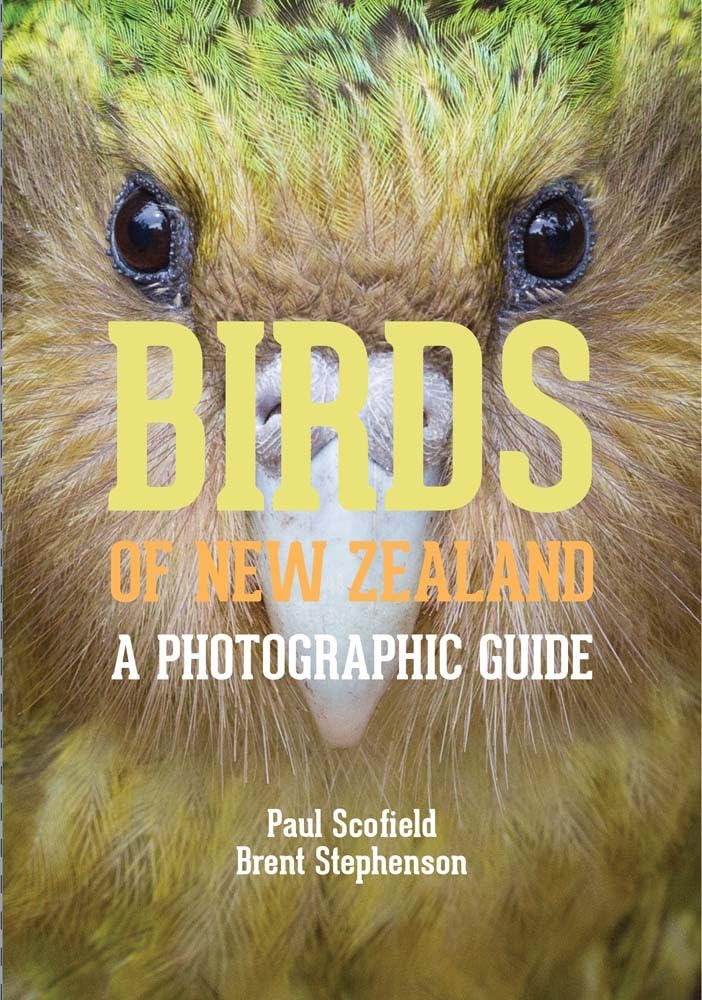 Birds of New Zealand: A Photographic Guide: Scofield, Paul, Stephenson ...