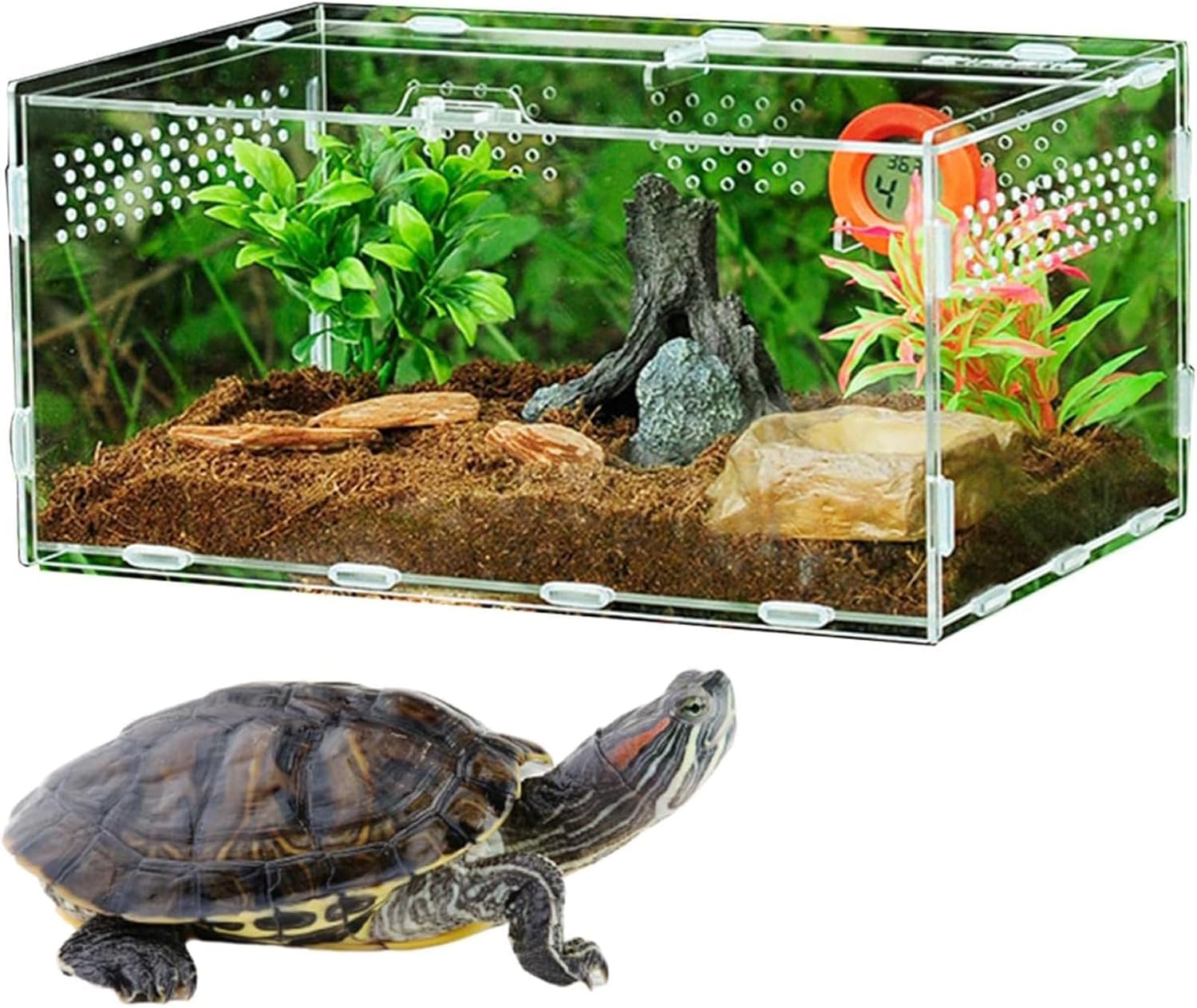 Amazon.com : Acrylic Reptile Terrarium Tank, Reptile Habitat Terrarium ...