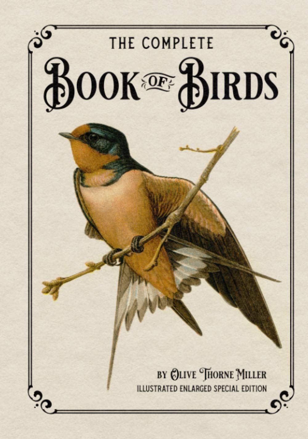 The Complete Book of Birds: Illustrated Enlarged Special Edition ...