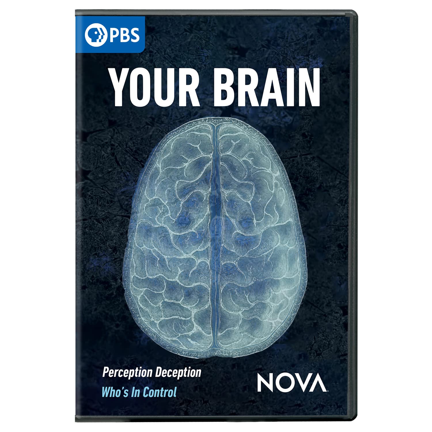 Amazon.com: NOVA: Your Brain : n/a, Michael Bicks, Anna Lee Strachan ...