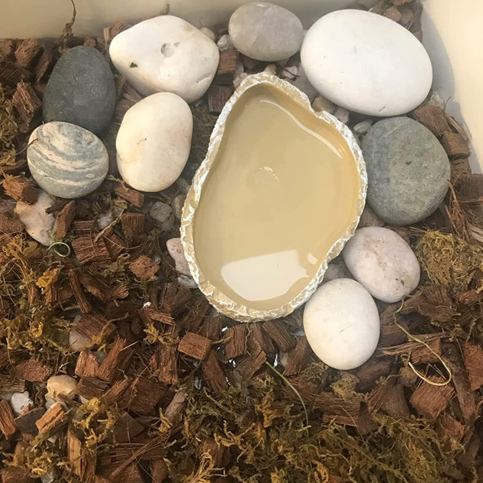 Snake Lizard Water Pool Reptile Water Dish & Bathing Pool With Ramp ...