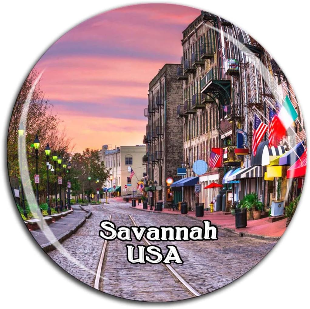 Amazon.com: Savannah Historic District Savannah America USA Fridge ...