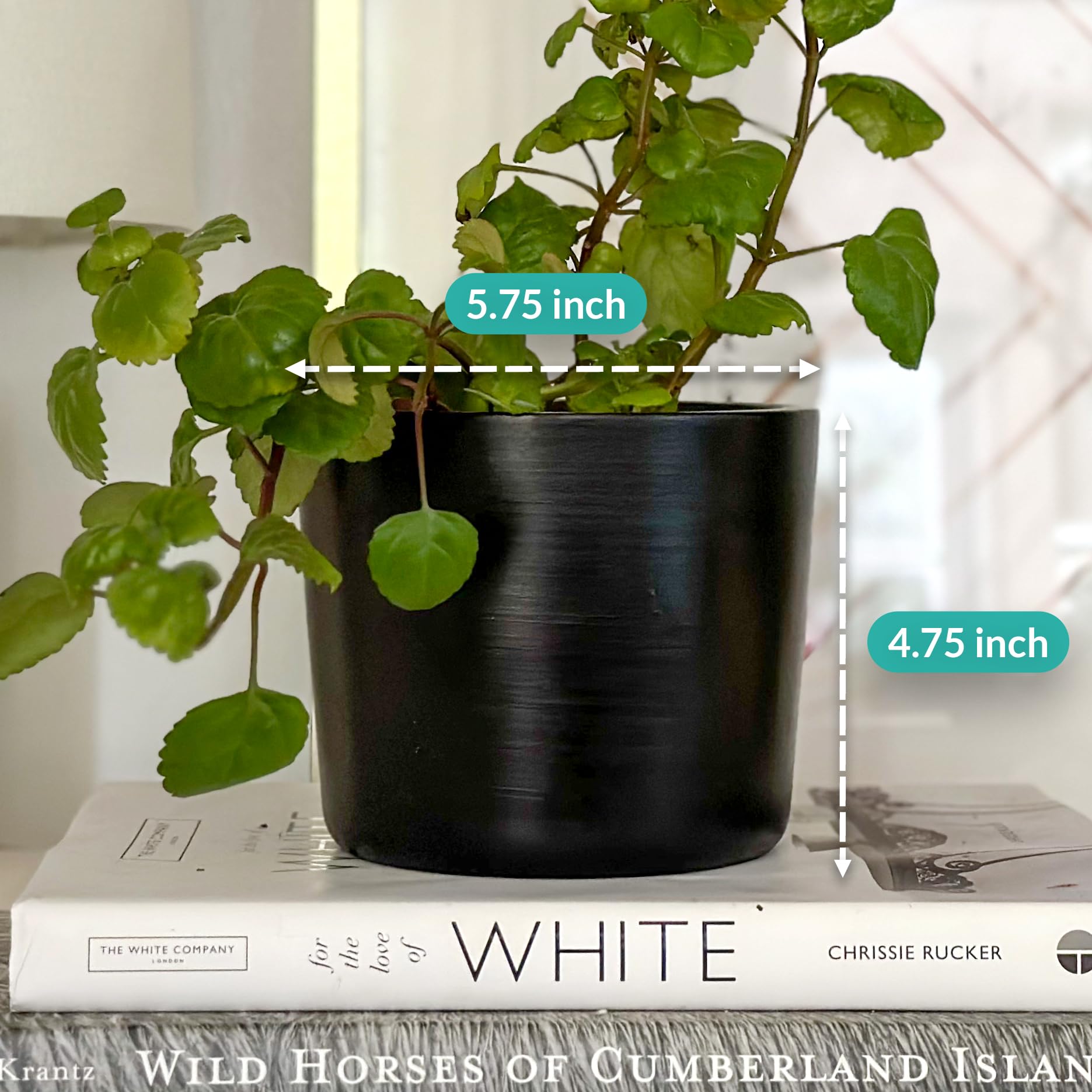 Snapklik.com : 6 Inch Black Ceramic Plant Pot - 6 Inch Plant Pot ...