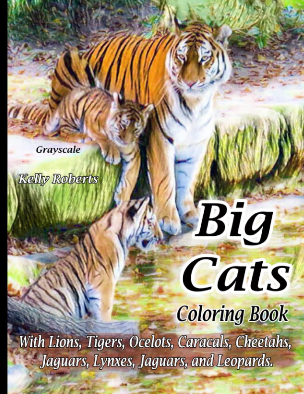 Amazon.com: Big Cats Coloring Book: With Lions, Tigers, Ocelots ...