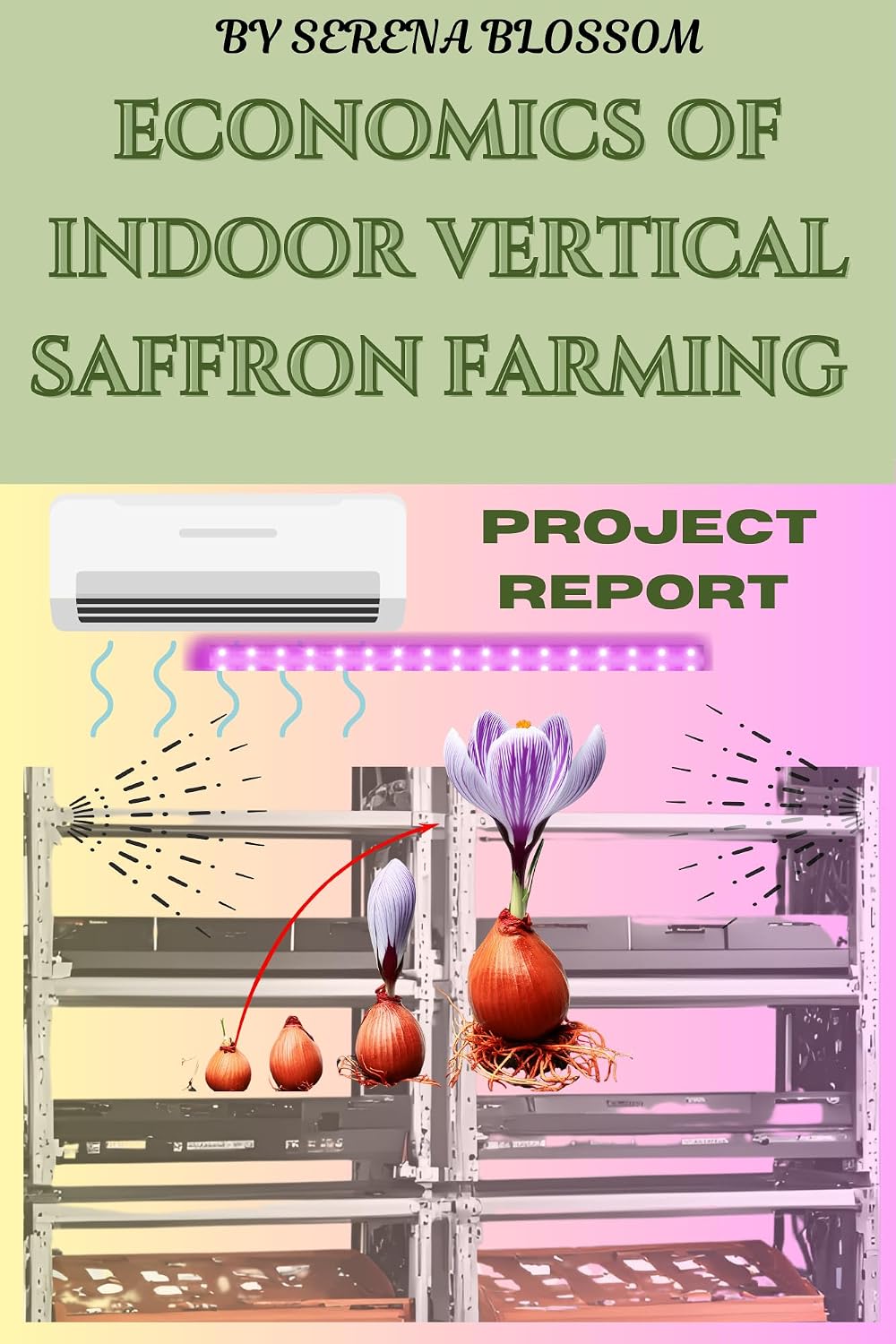 Economics of Indoor Vertical Saffron Farming, Project Report : GOVIND ...