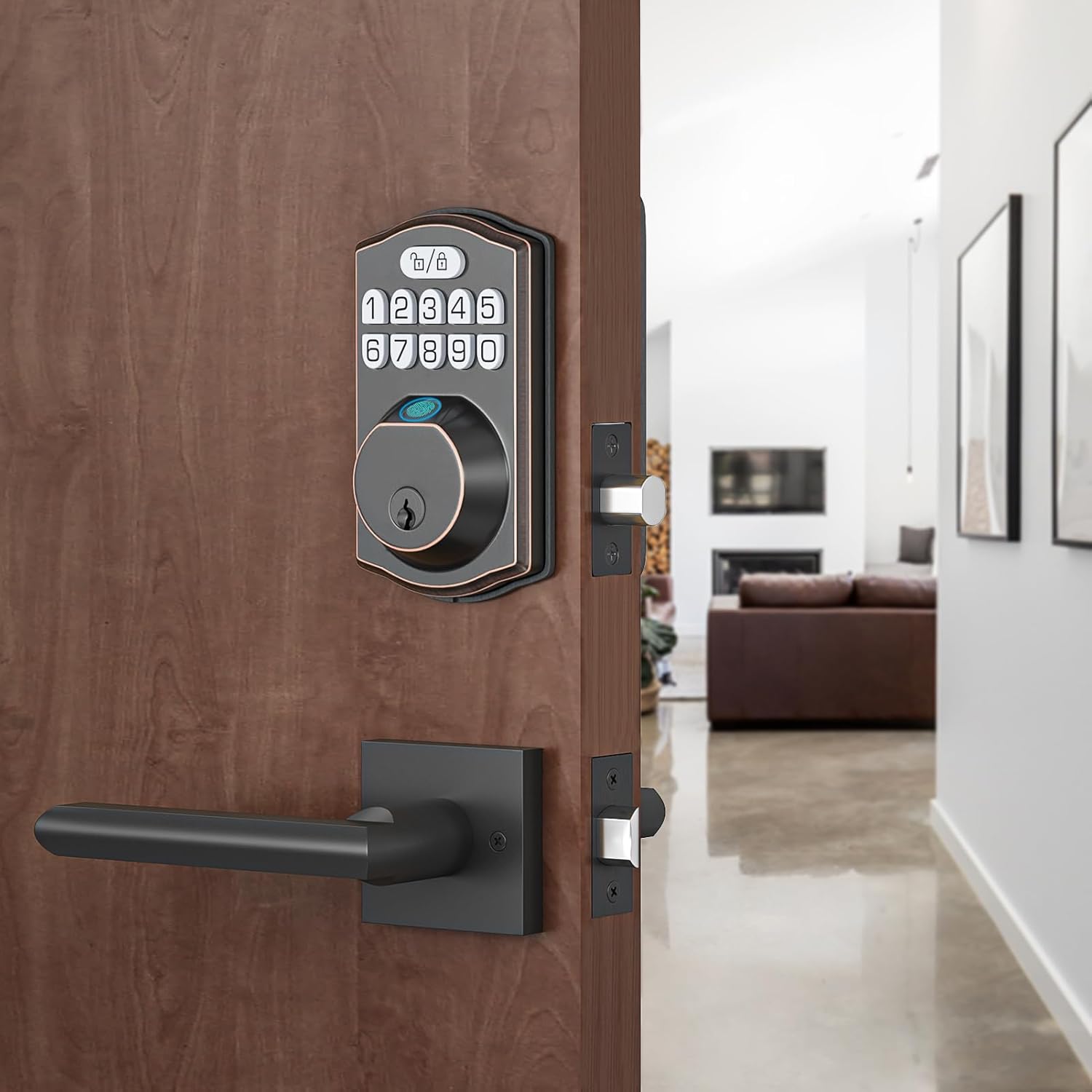 HOSOM Matte Black Interior Passage Door Handle and Smart Fingerprint ...