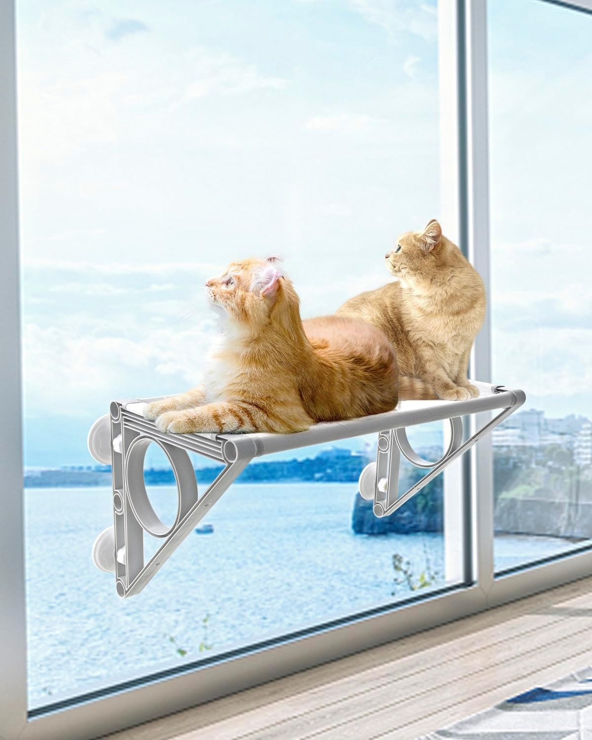 Amazon.com : MEIJIEM Cat Window Perch,Cat Bed Window,Holds up to 55 ...