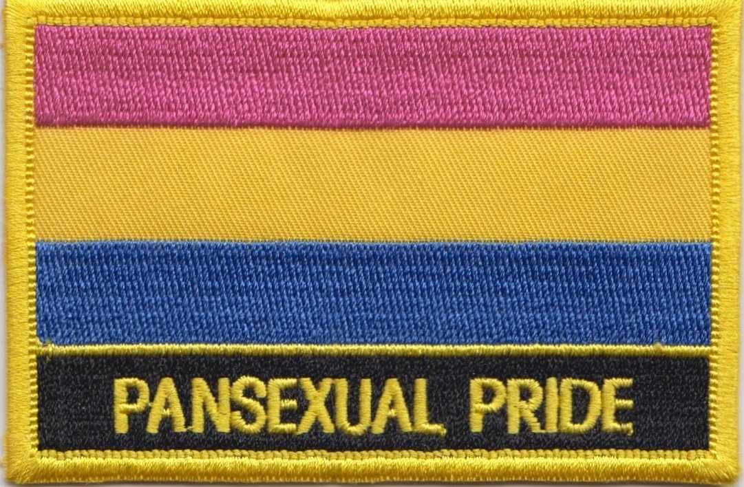 Amazon.com: 1000 Flags Pansexual Pride LGBT Flag Embroidered Rectangular Patch Badge : Clothing ...