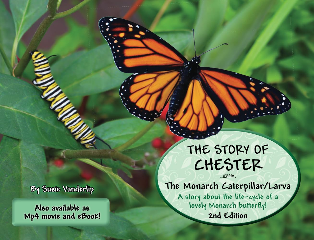 The Story of Chester: The Monarch Caterpillar/Larva: Vanderlip, Susie ...