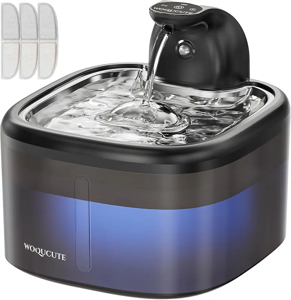 Common Bugs In Cat Water Fountains: How To Deal With Them | PetShun