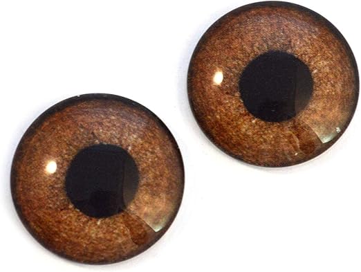 Amazon.com: Brown Griffon Bird Glass Eyes Realistic Foul Animal Pair ...