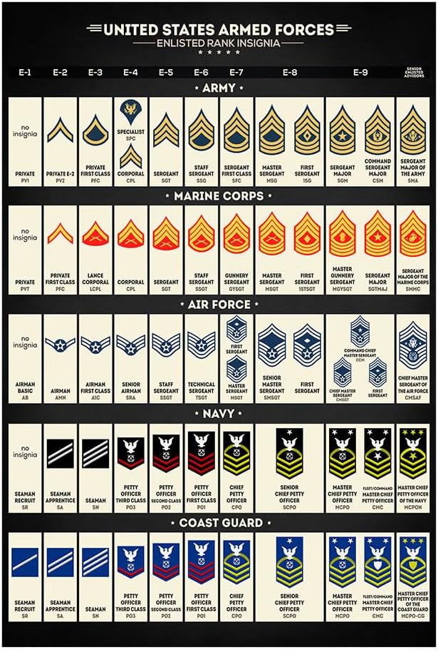 Amazon.com: United States Armed Forces Enlisted Rank Insignia Art Print ...