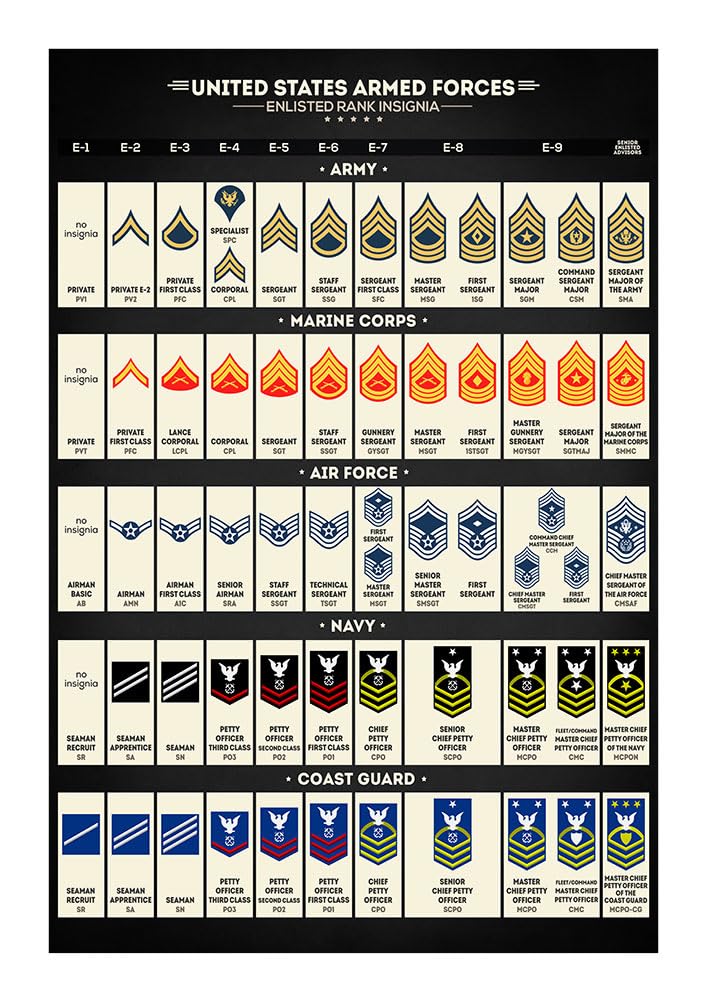 Amazon.com: United States Armed Forces Enlisted Rank Insignia Art Print ...
