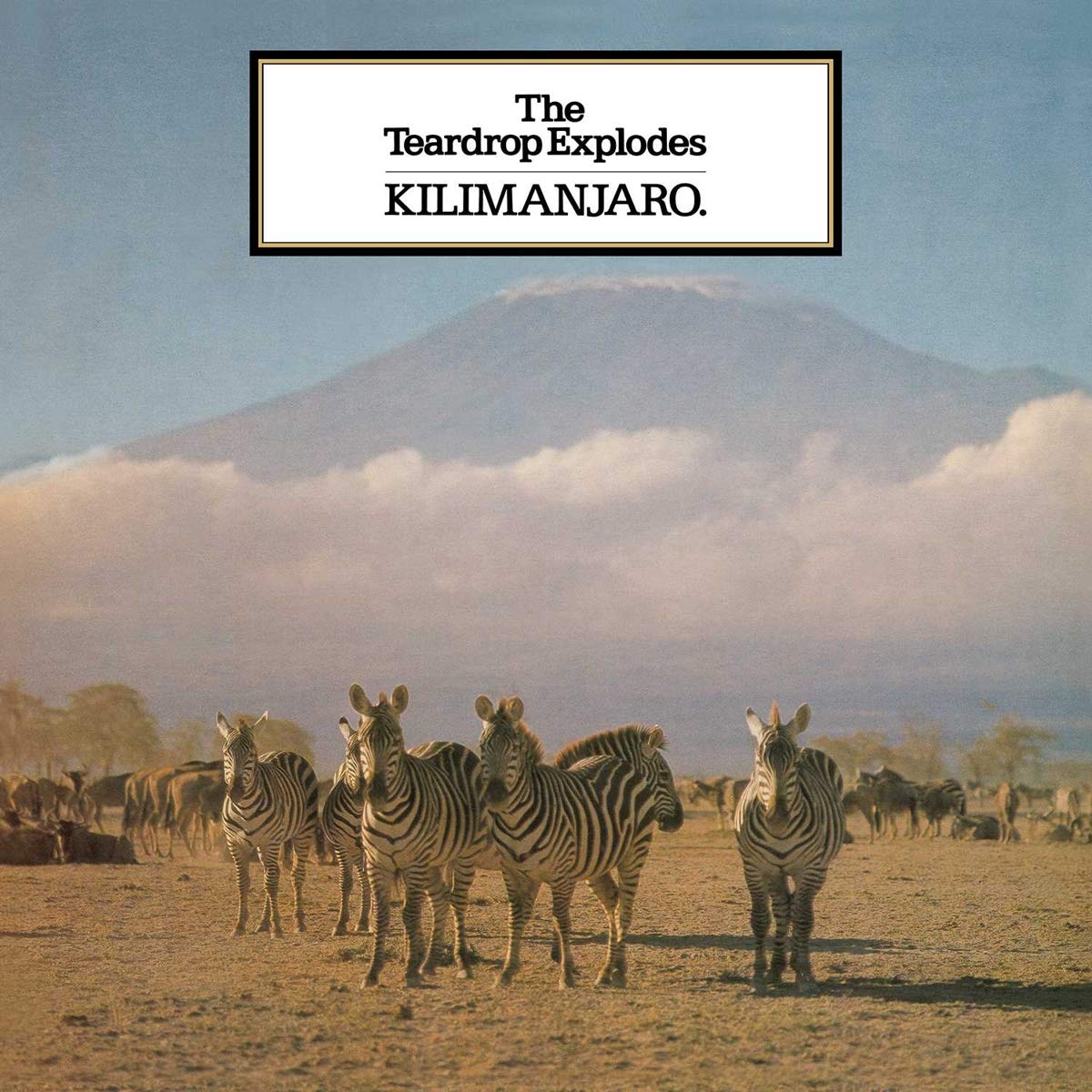 Kilimanjaro : The Teardrop Explodes: Amazon.es: CDs y vinilos}