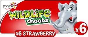 Wildlife Choobs Strawberry Flavour Yogurt Tubes, 6 x 37g : Amazon.co.uk ...