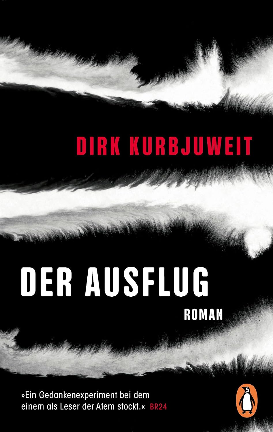 Der Ausflug: Roman : Kurbjuweit, Dirk: Amazon.de: Bücher