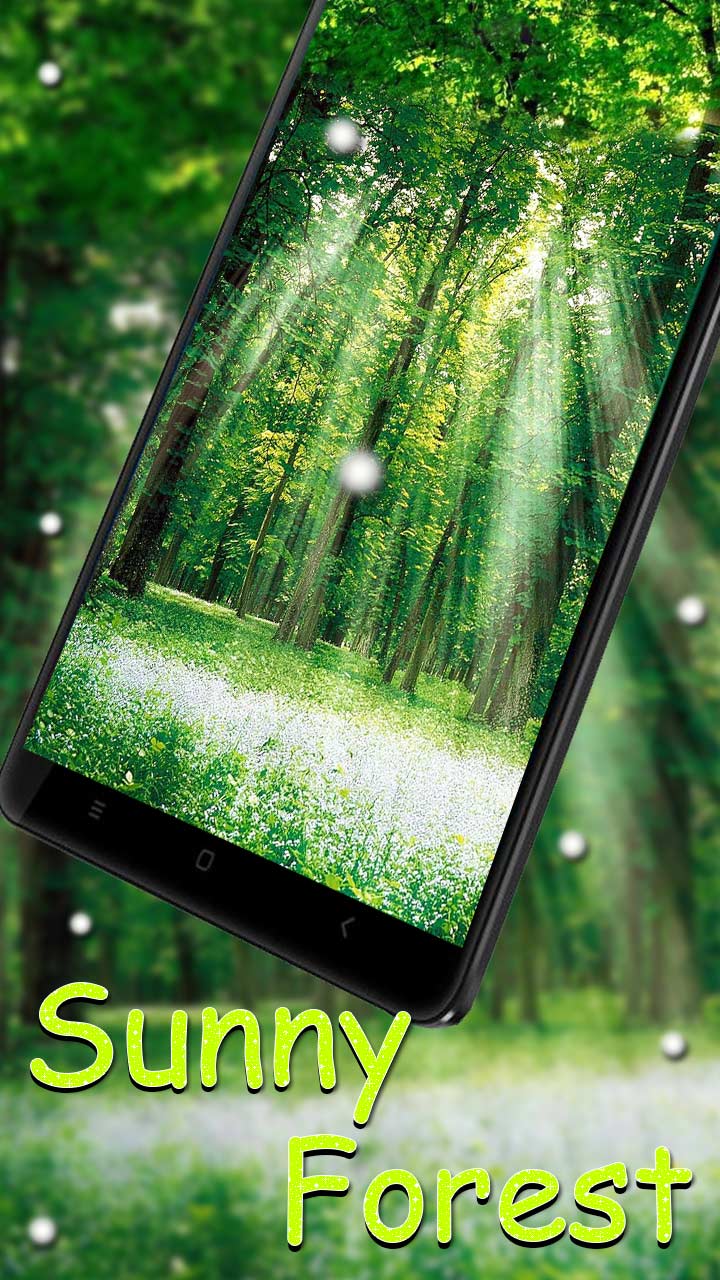 Sunny Forest 2D Live wallpaper - App on Amazon Appstore