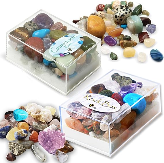 British Fossils Gemstone and Rock Box Collection. Set of 2 Boxes ...