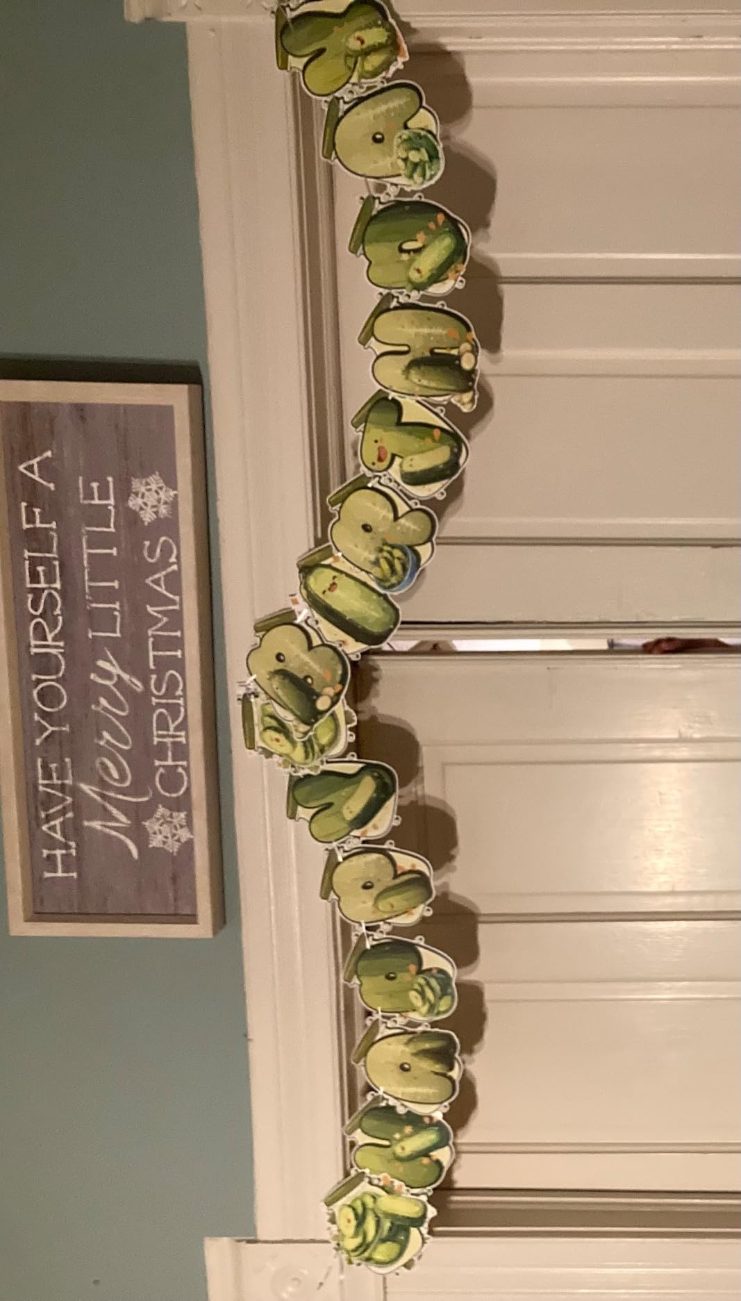 Amazon.com: Huyfoig 42pcs Pickle Party Decorations Banners, Funny ...