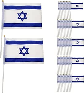 Amazon.com: NewGtuizi 100 Pcs Small Israel Flags on Sticks, 8.3x5.5 ...