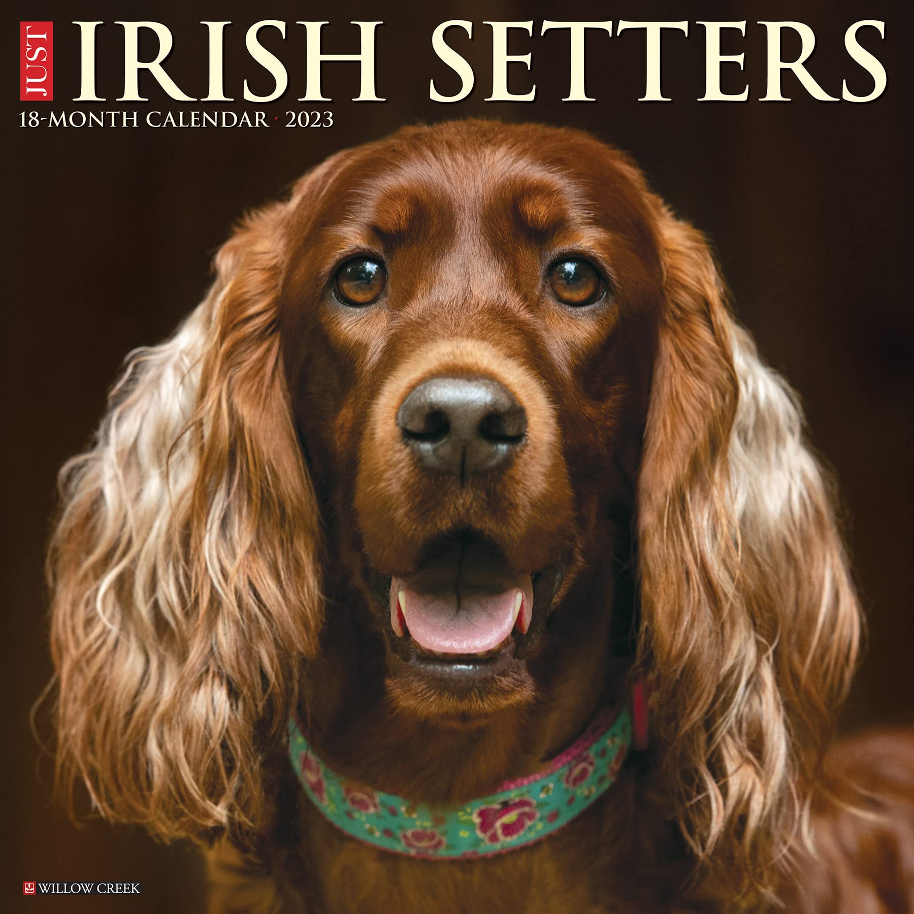Amazon.com: Just Irish Setters 2023 Wall Calendar: 9781549226472 ...