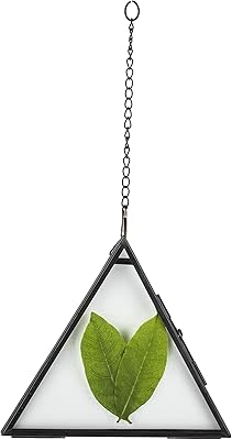 Amazon.com - JUXYES Set of 3 Round Brass Wall Hanging Photo Frame ...