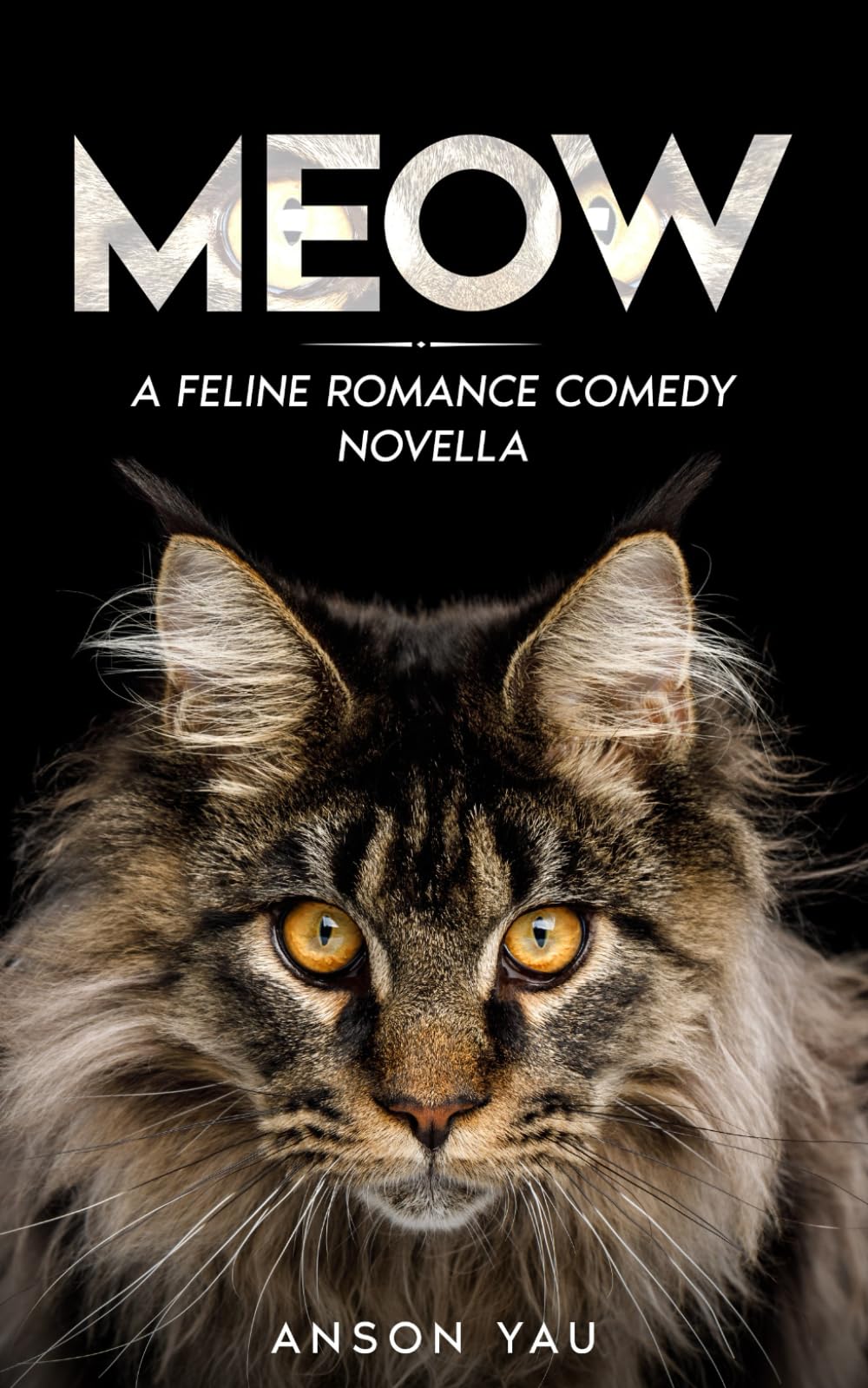 Amazon.com: Meow: A Feline Romance Comedy Novella: 9798327086944: Yau ...