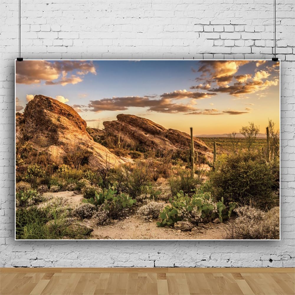 Amazon.com : Laeacco 20x10ft Dusk Desolate Desert Backdrop Weathered ...