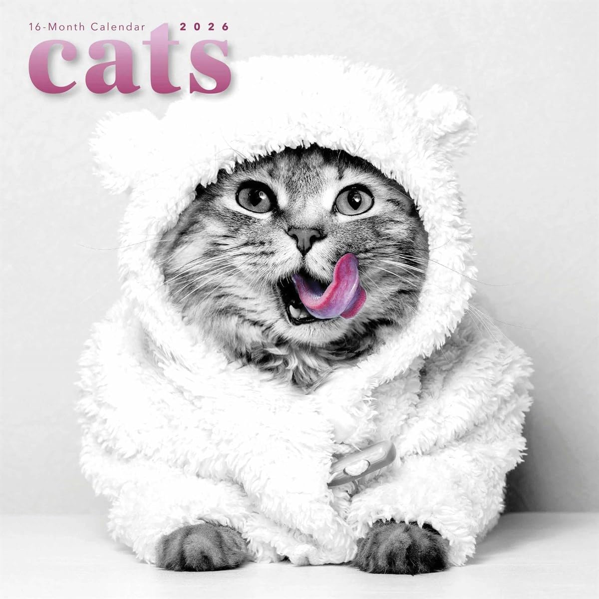 Amazon.com : Carousel Calendars, Classic Cats 2026 Wall Calendar, 12 ...