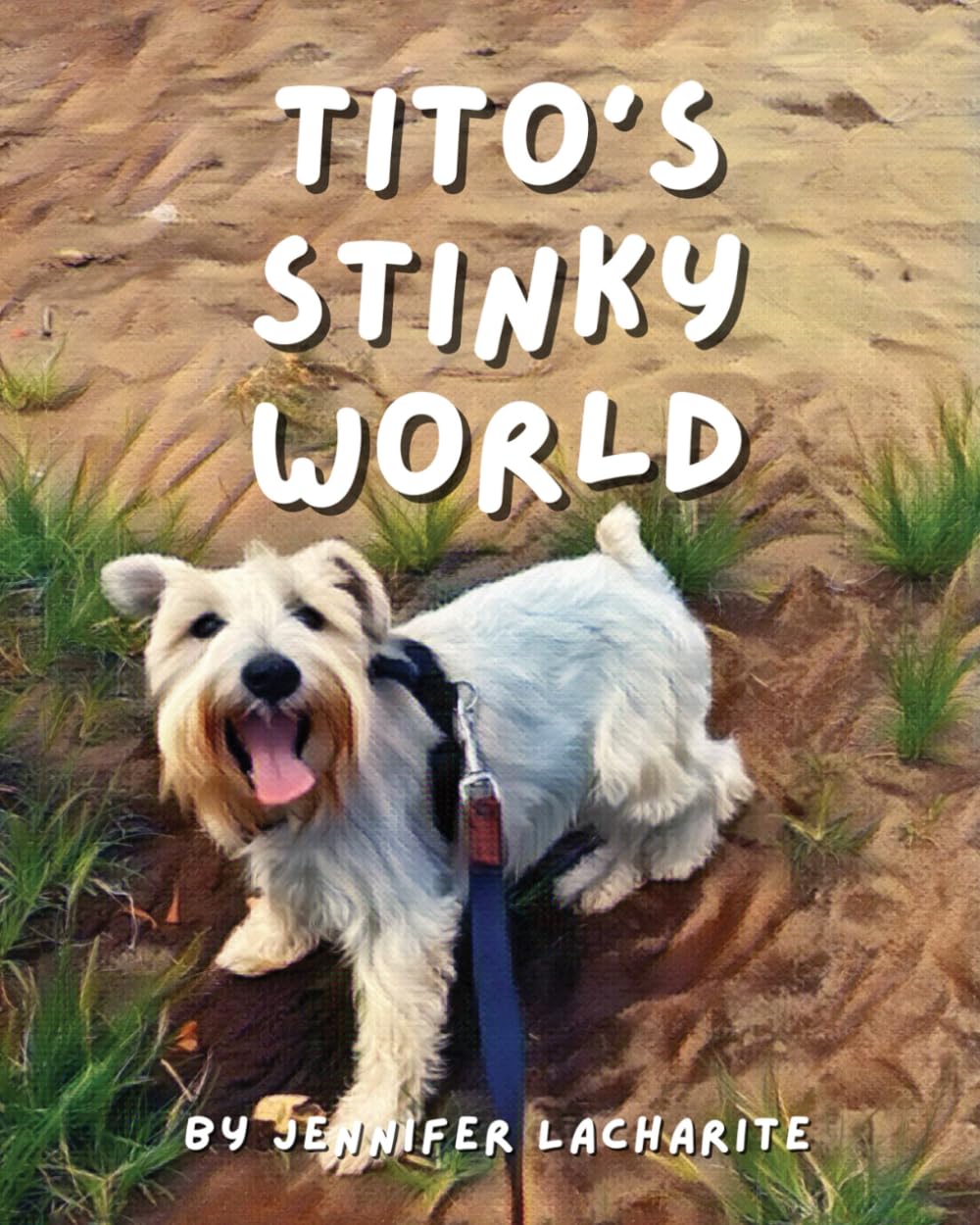 Tito's Stinky World (Tito's World): LaCharite, Jennifer: 9781738809325 ...