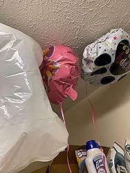 Amazon.com: Pink Dog Birthday Party Decorations, Paw Theme Party ...