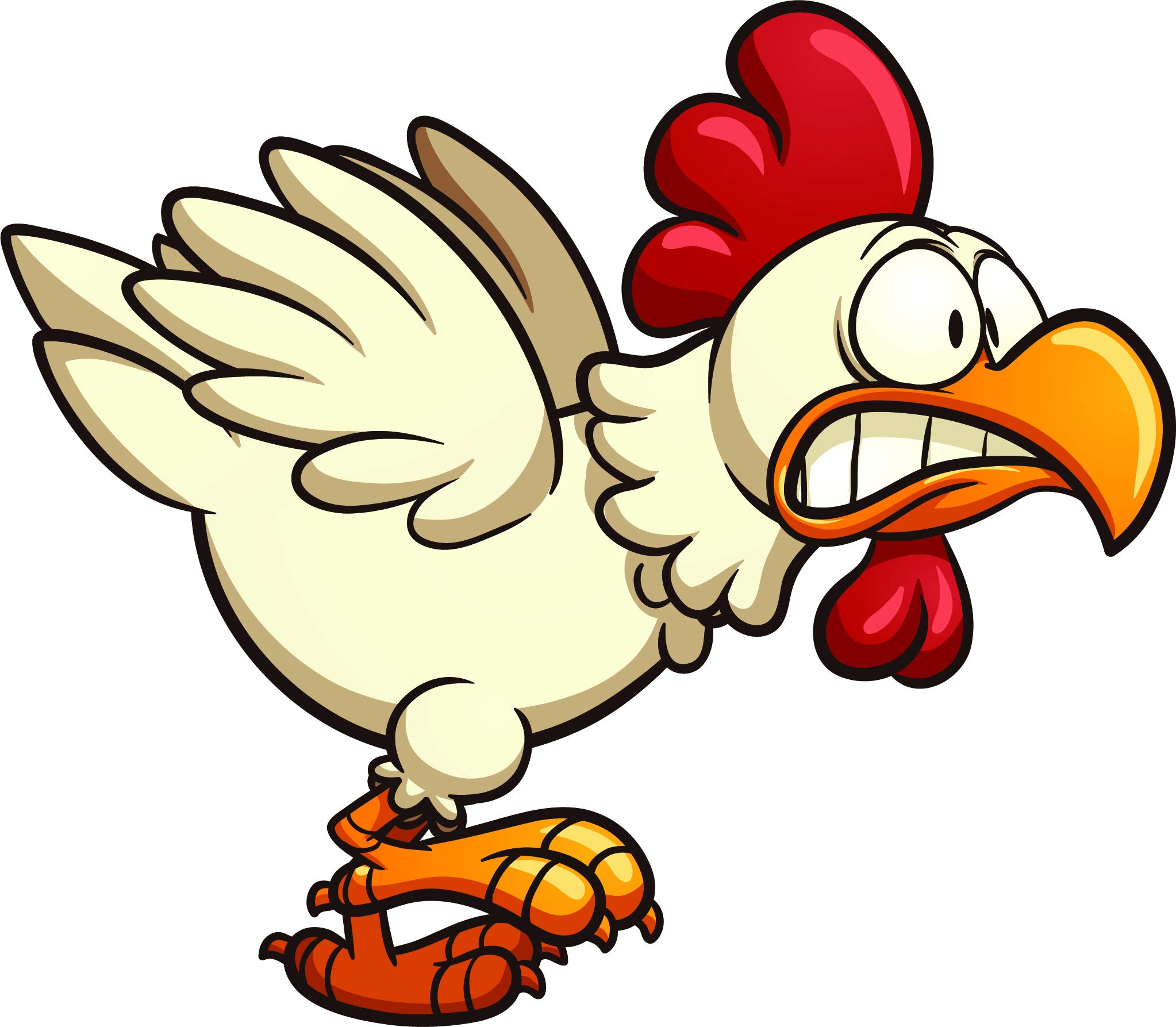 Scared Chicken Cartoon Images
