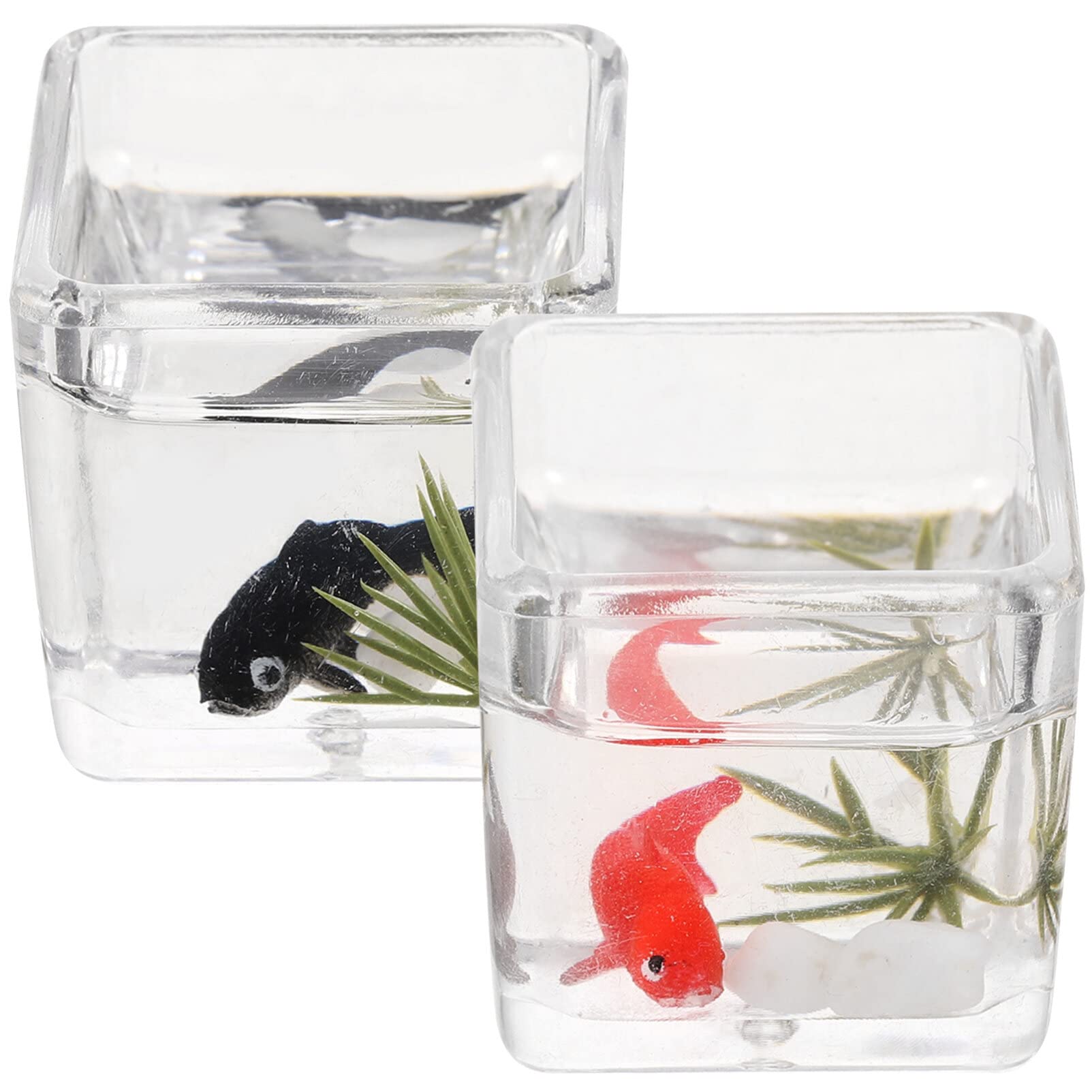 Betta Fish Bowl Diy