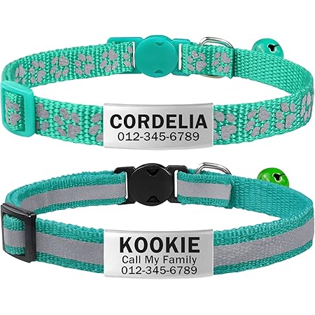 Custom Cat Collar, Personalized Breakaway Cat Collar with Bell ...