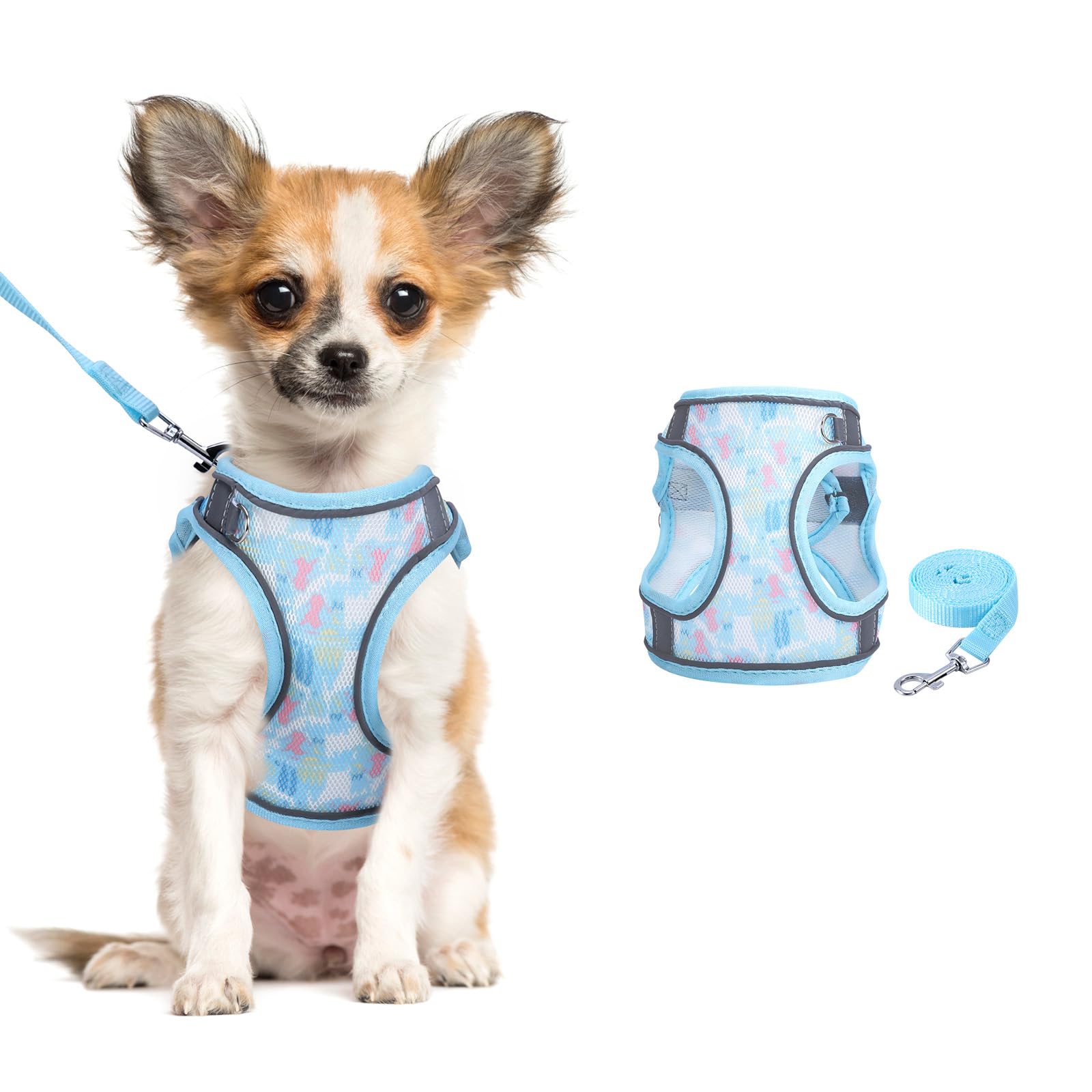 Amazon.com : AMIR Cat Harness and Leash for Walking, Escape Proof ...