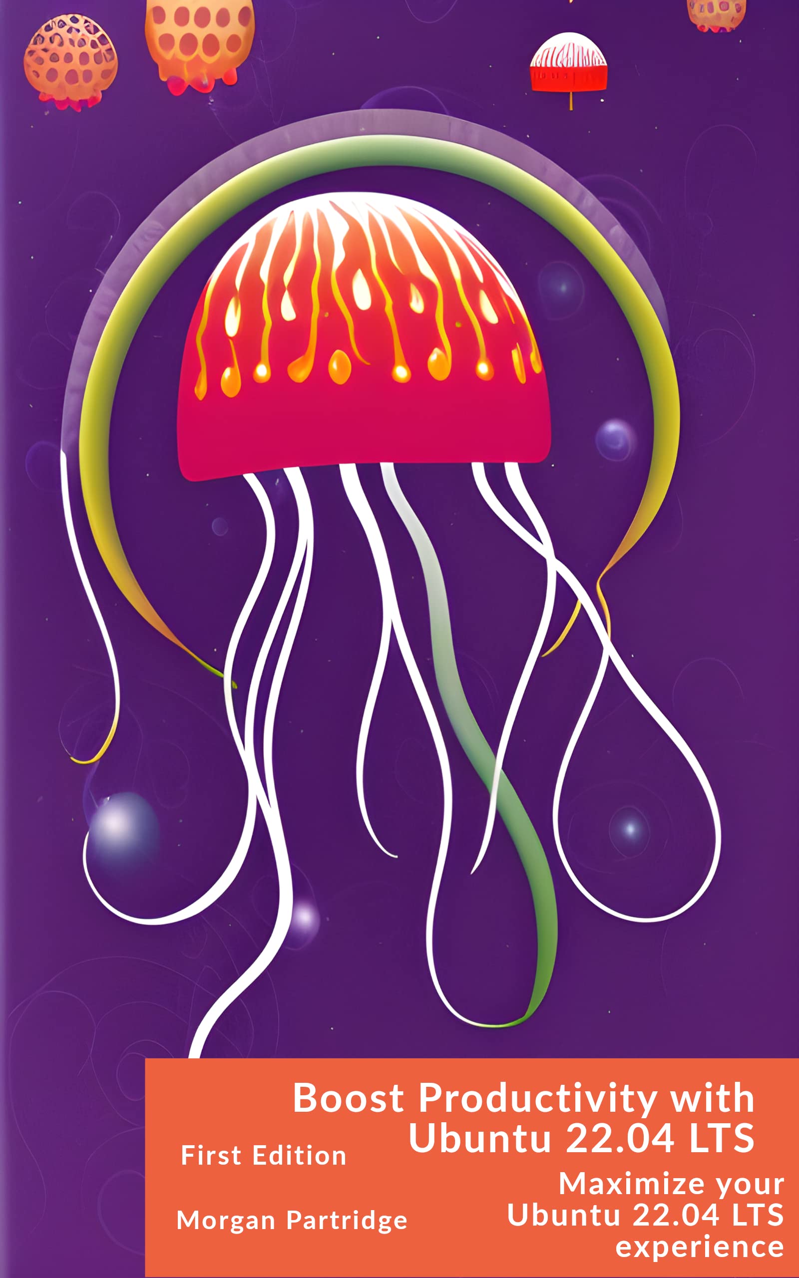 Buy Boost Productivity with Ubuntu 22.04 LTS: Jammy Jellyfish's Expert ...