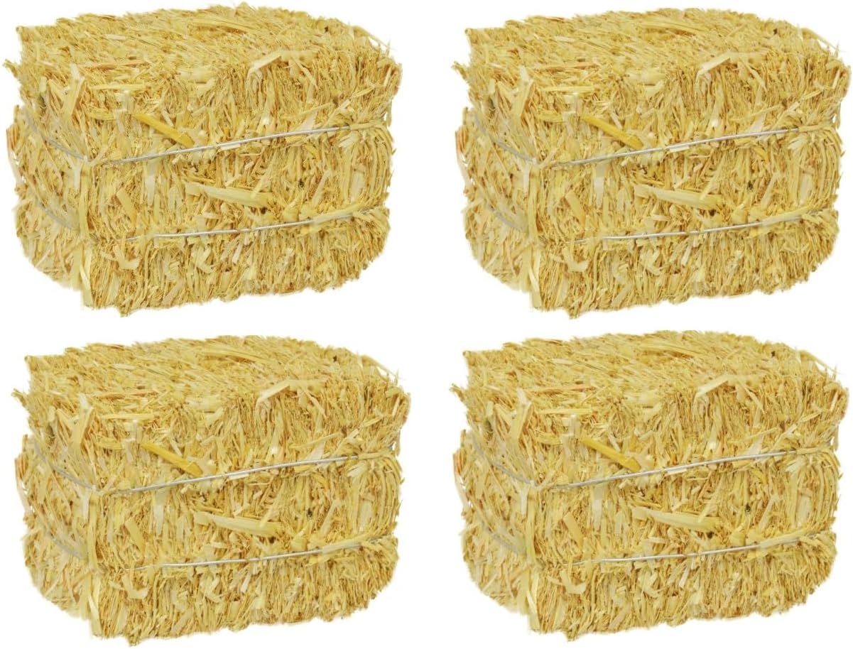 Amazon.com: 4 Pieces Mini Straw Hay Bales for Autumn Harvest Fall Craft ...