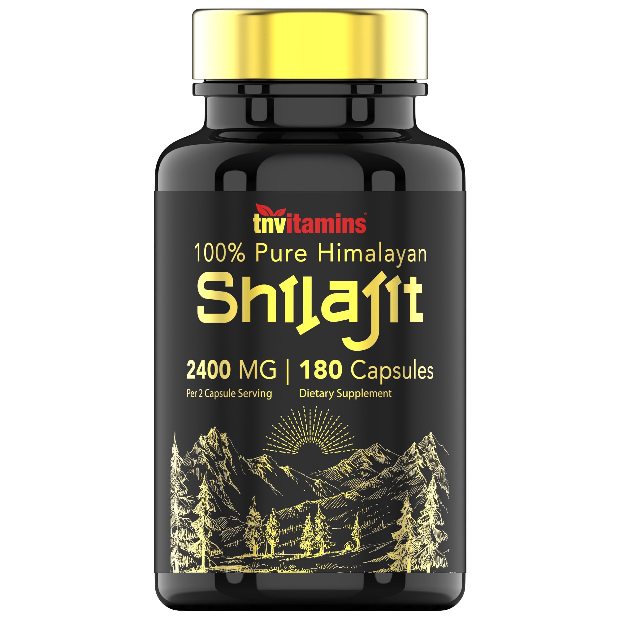 Amazon.com: tnvitamins Shilajit Capsules 2400 MG - 180 Capsules | 100% ...