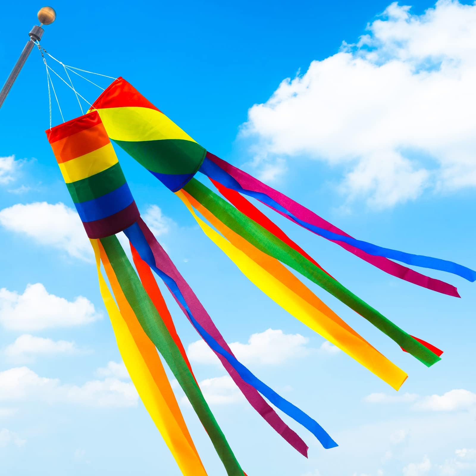 Amazon.com : timecity 2PCS Rainbow Windsock Heavy Duty 40 Inches Garden ...