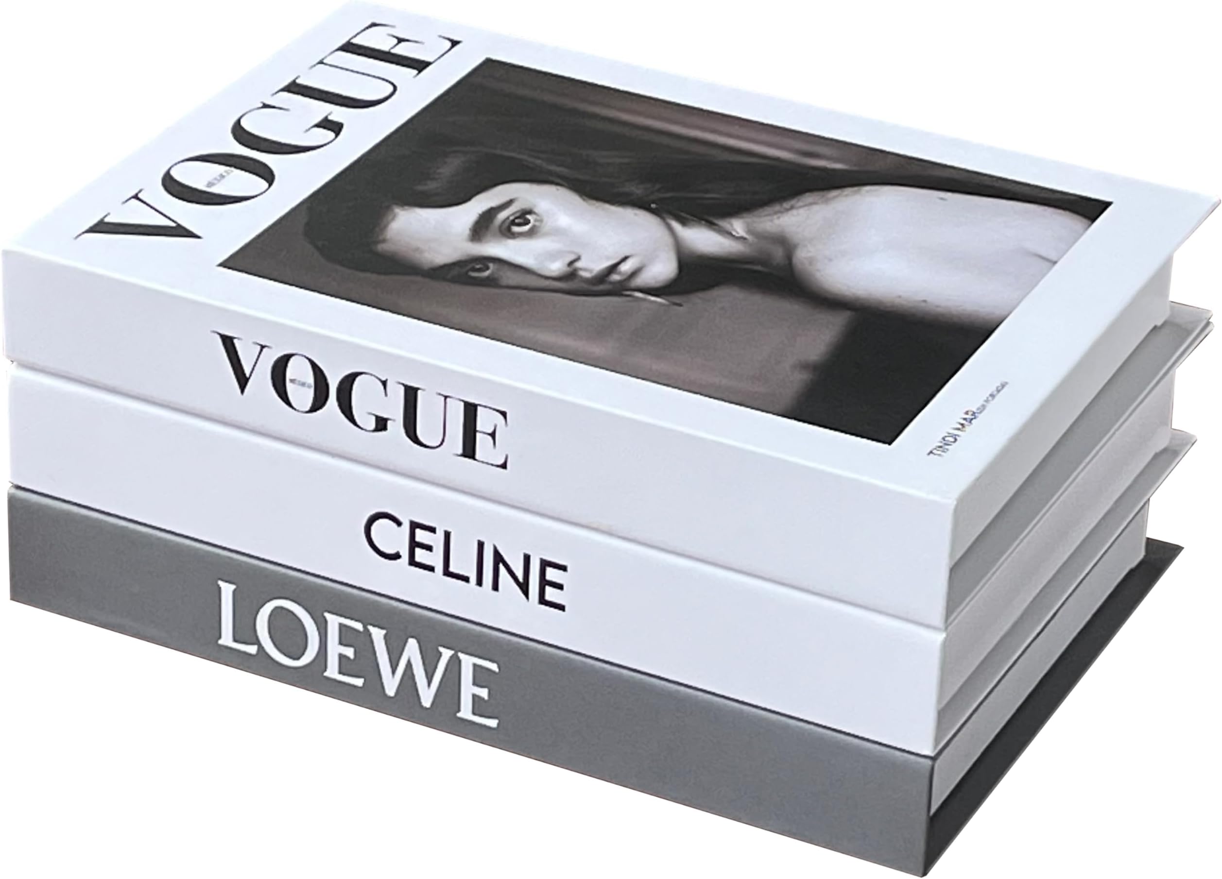 Amazon.com: EFH 6 Pcs Decor Books for House Faux Book Fashion Modern ...