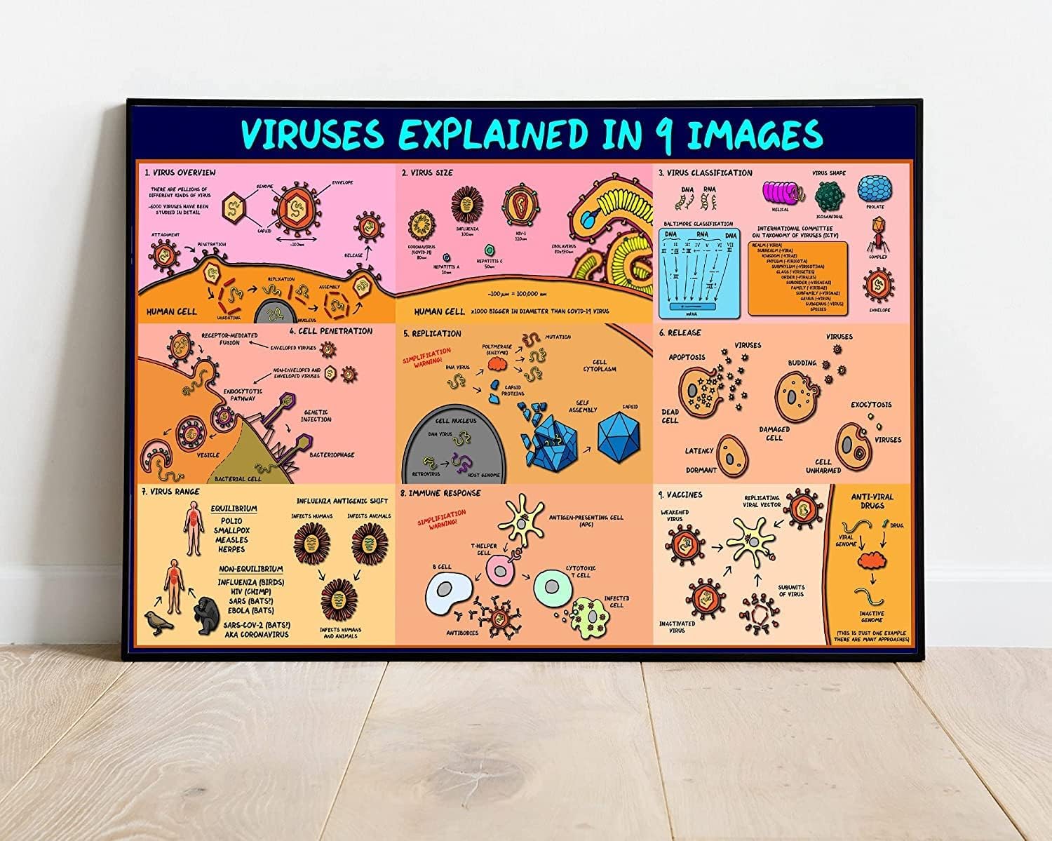 Amazon Lyonidas Viruses Explained In 9 Images Poster Unframed Or